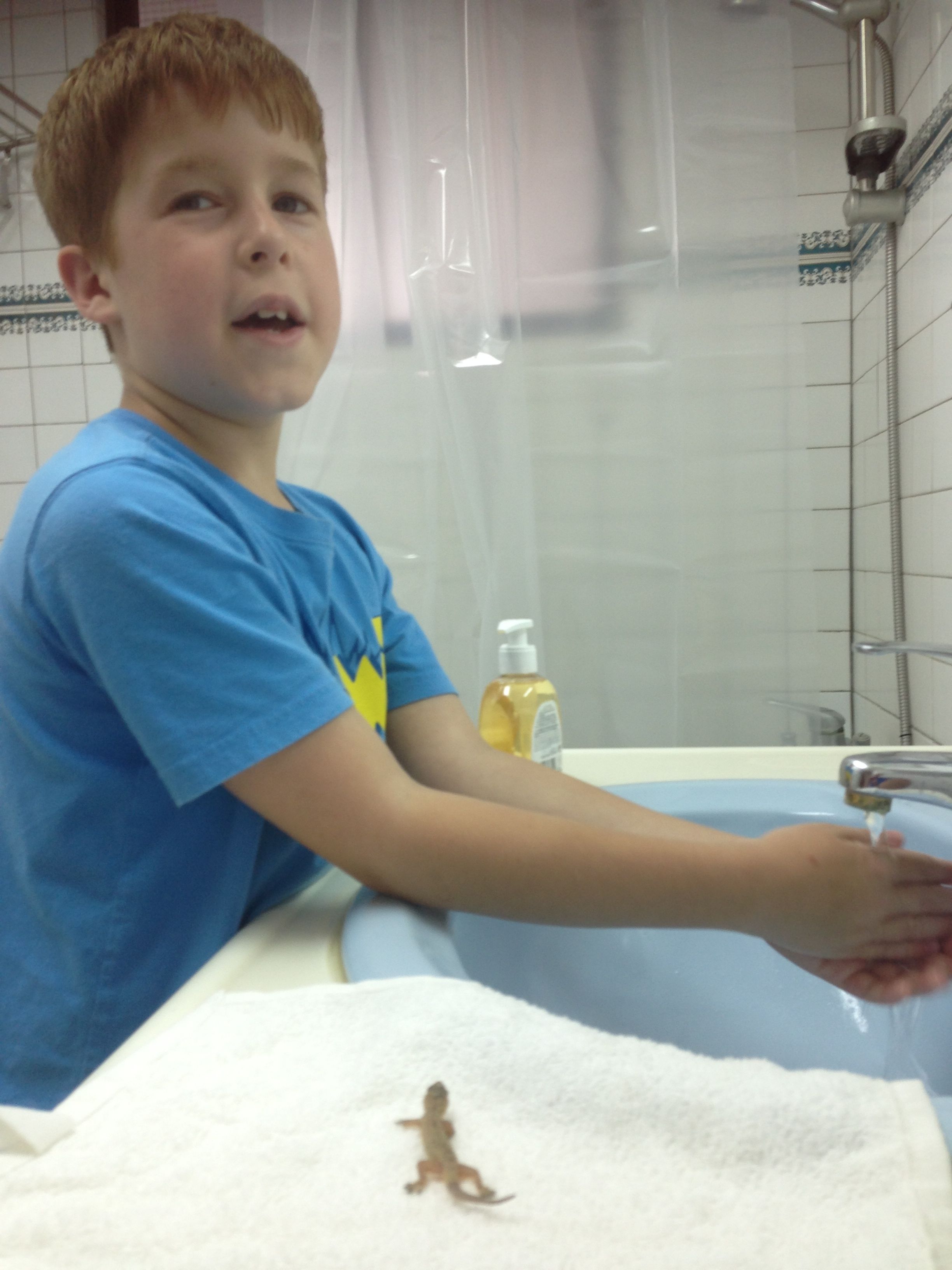 Greetings from Gary the Gecko: Representing the Tien Mu Welcome Wagon ...